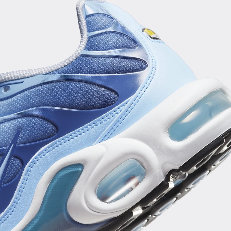 Nike Tn Air Max Plus Blue Gradient - Sneakers.fr