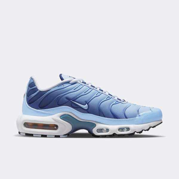 Nike Tn Air Max Plus Blue Gradient - Sneakers.fr