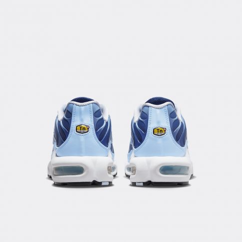 Nike Tn Air Max Plus Blue Gradient - Sneakers.fr