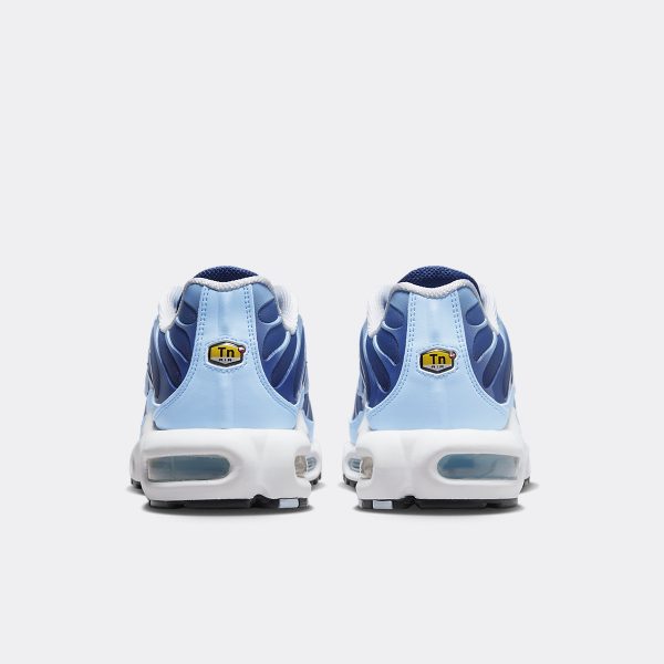 Nike Tn Air Max Plus Blue Gradient - Sneakers.fr