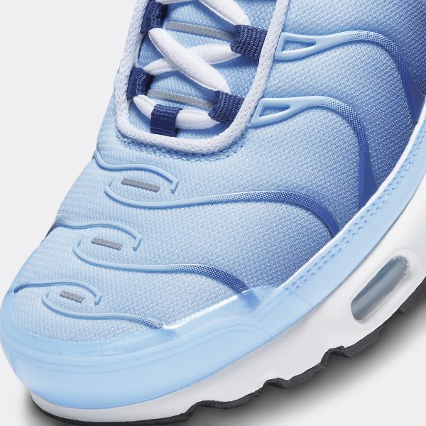 Nike Tn Air Max Plus Blue Gradient - Sneakers.fr